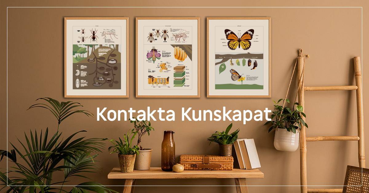 Kontakta Kunskapat om posters och motiv